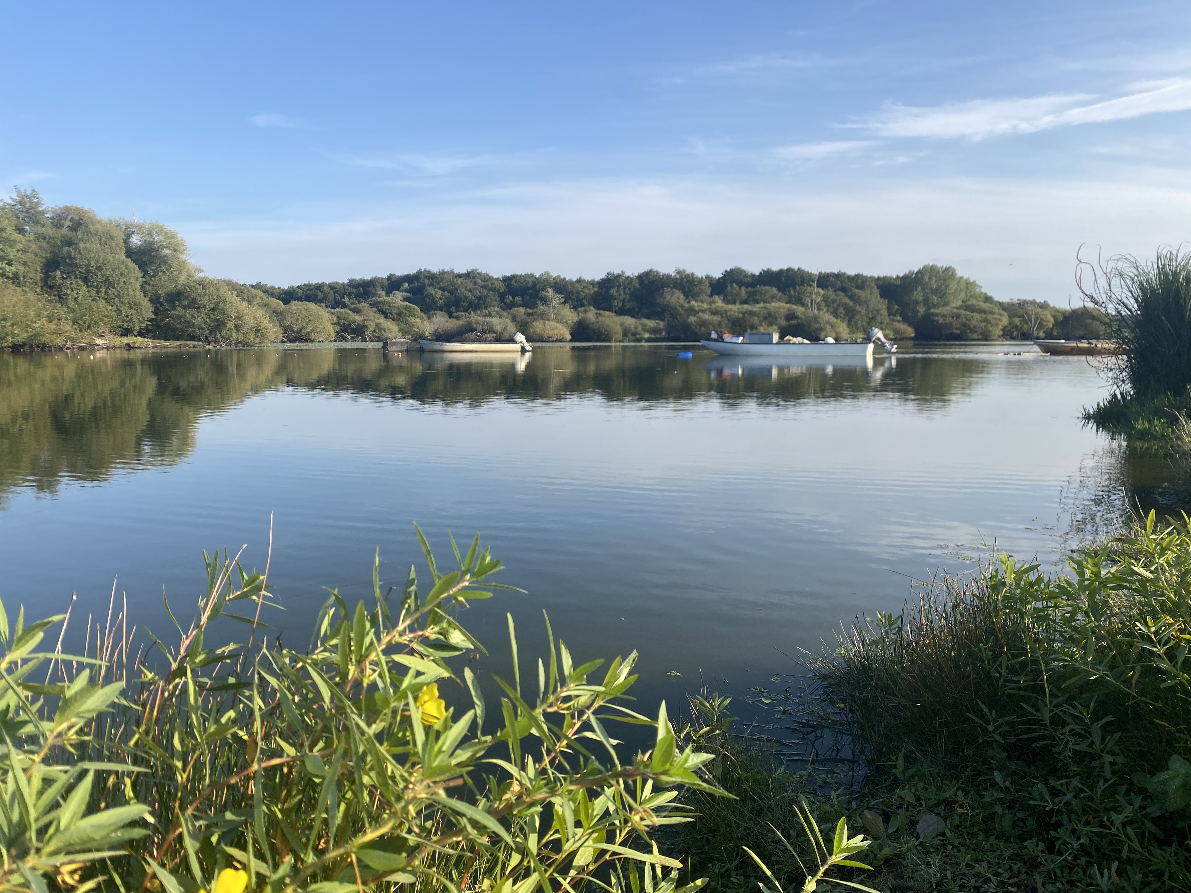 Découverte des réserves naturelles du lac de Grand-Lieu en barque ...