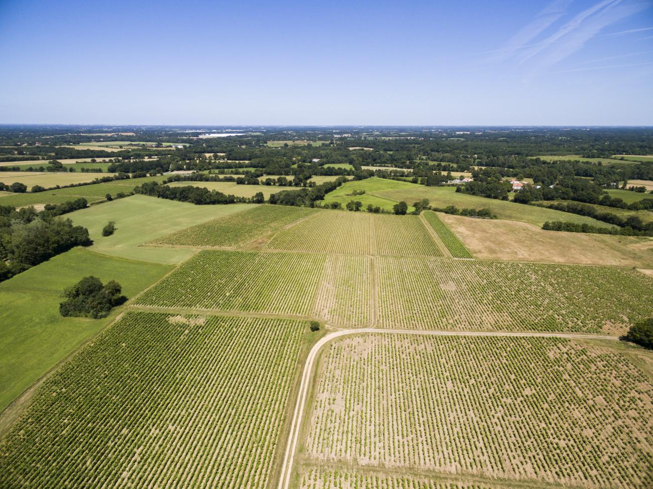 Saint Philbert de Grand Lieu | Office de Tourisme de Grand Lieu